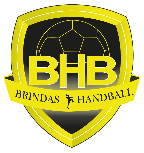 Handball à Brindas : Animation avec la MJC